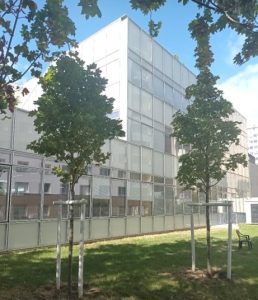 Ecole Paris 20 - Campus Croix Saint Simon